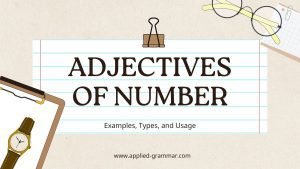 Adjectives of Number: Examples, Types, and Usage